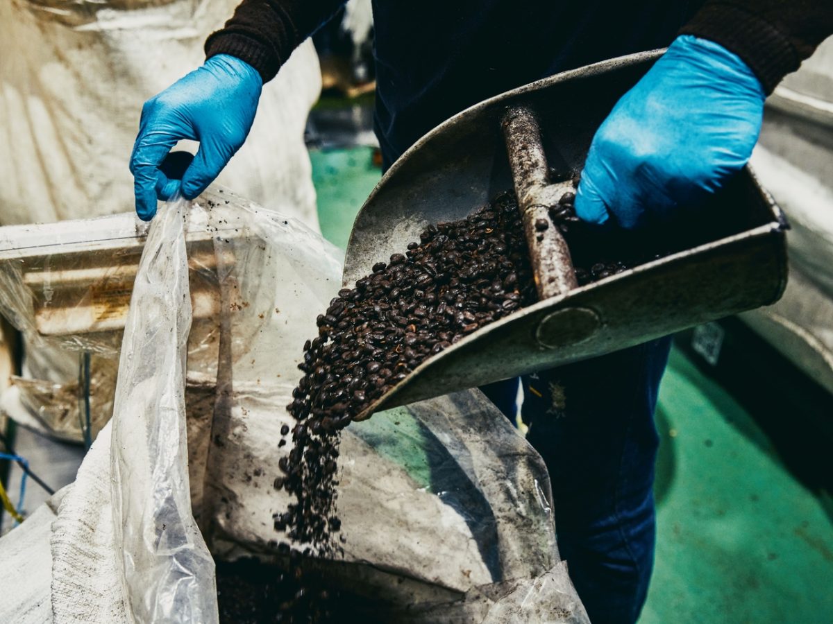 How kopi's made and the best kopi places in Singapore