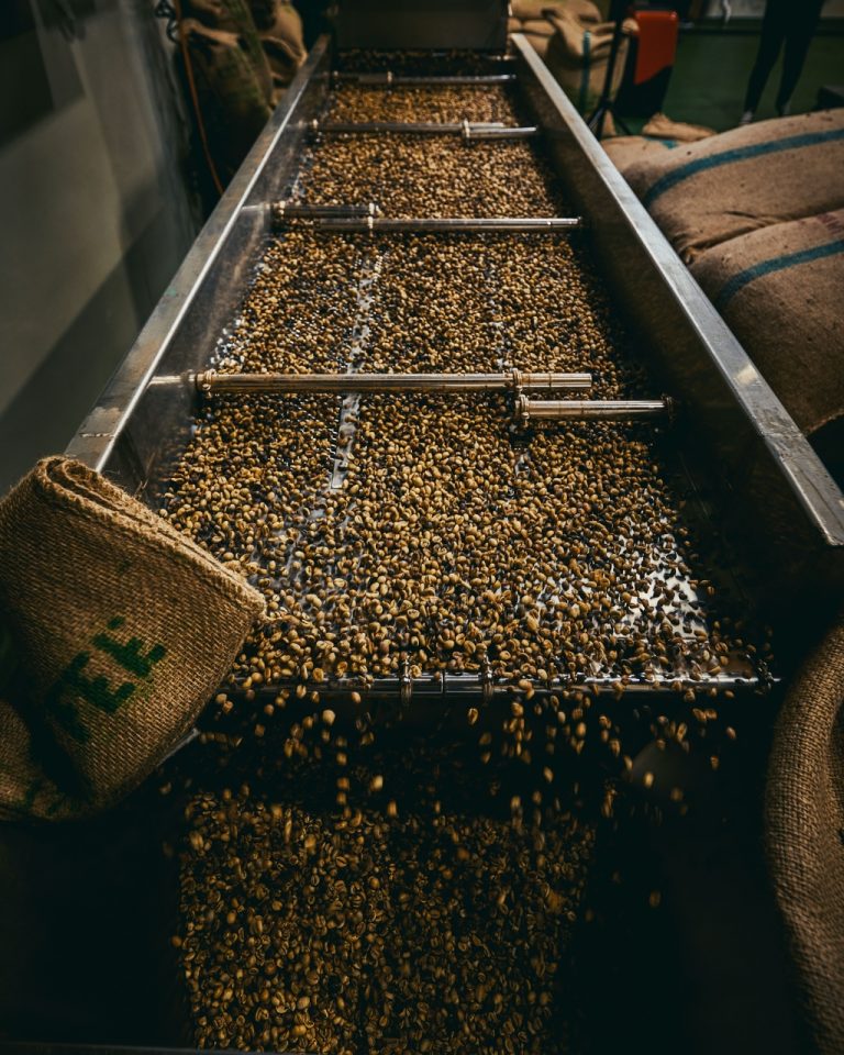 How kopi's made and the best kopi places in Singapore